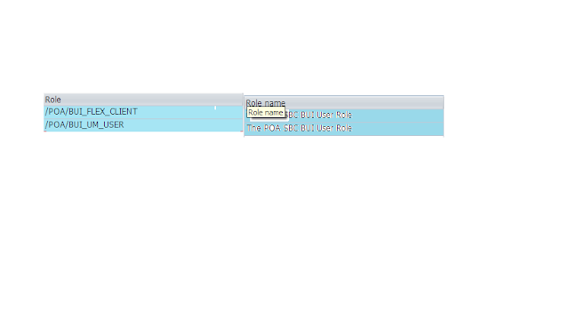 SAP BPC: SAP EPM / BPC 10.0 Consolidation (User Authorization)