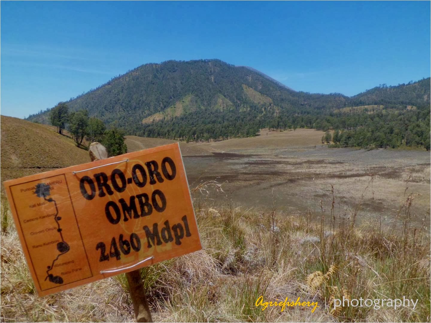 ORO ORO OMBO-SEMERU - sahabatsemeru