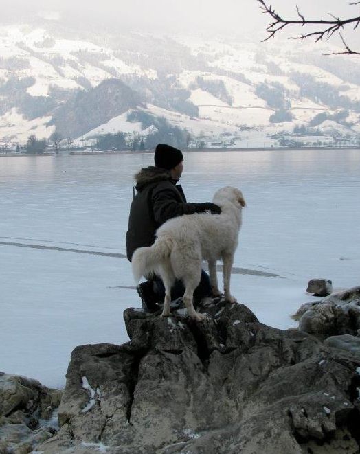Kuvasz Klips: Winter am Lauerzersee