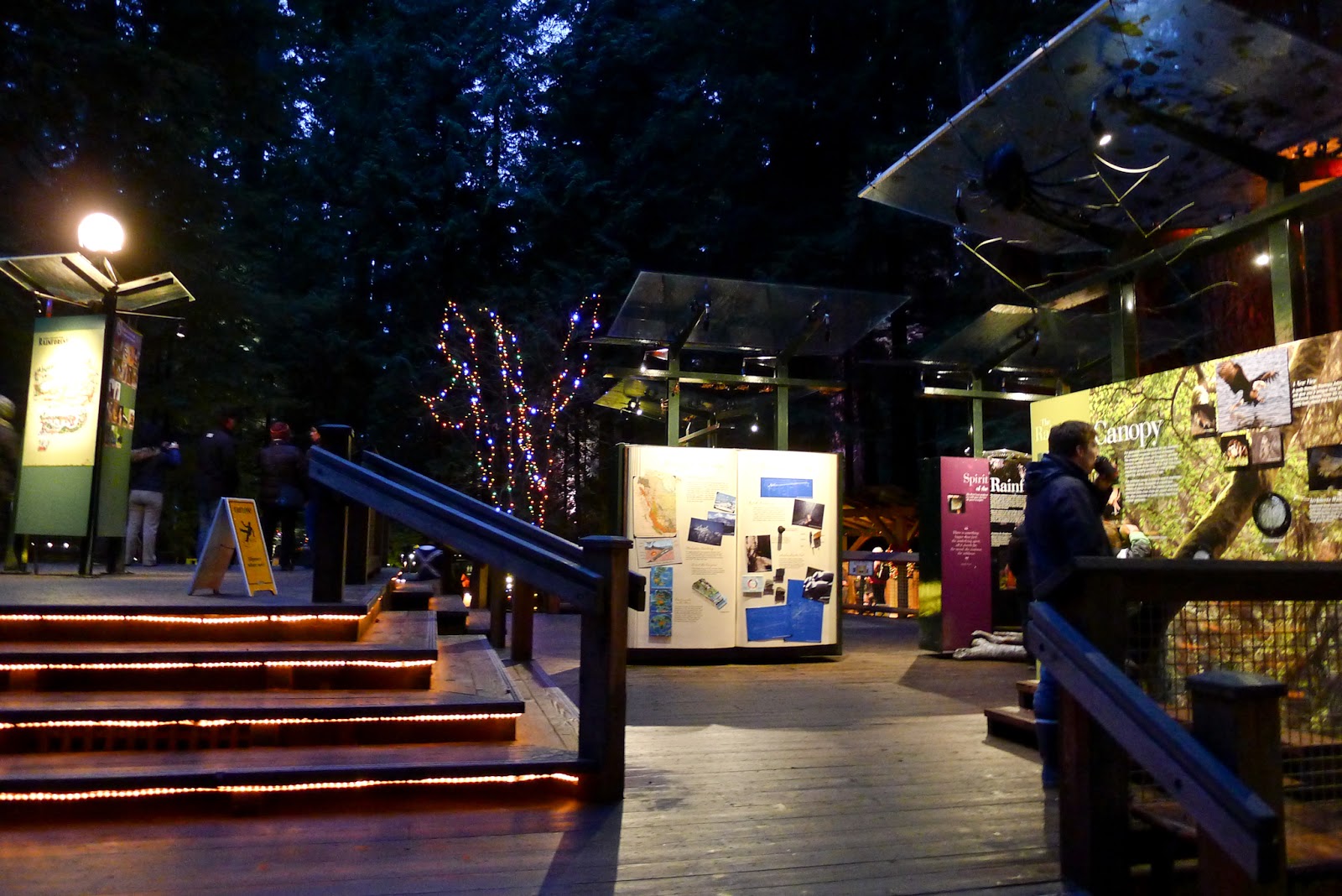 Christmas in a Cup : Canyon Lights - Capilano Suspension Bridge