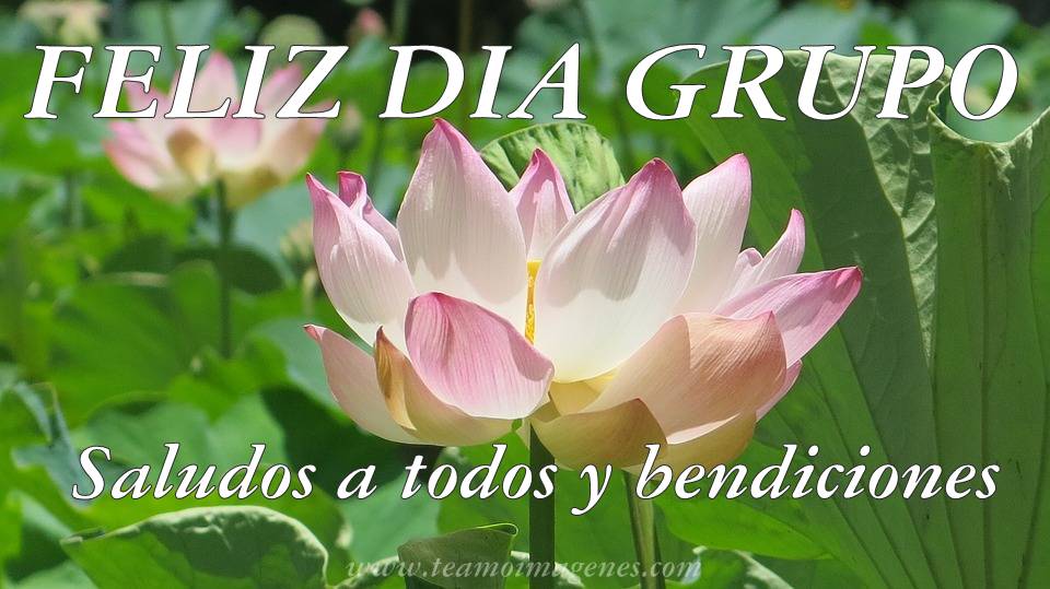 8 imágenes con frases de Buen Dia GRUPO - Imágenes de Amor, Gatitos ...