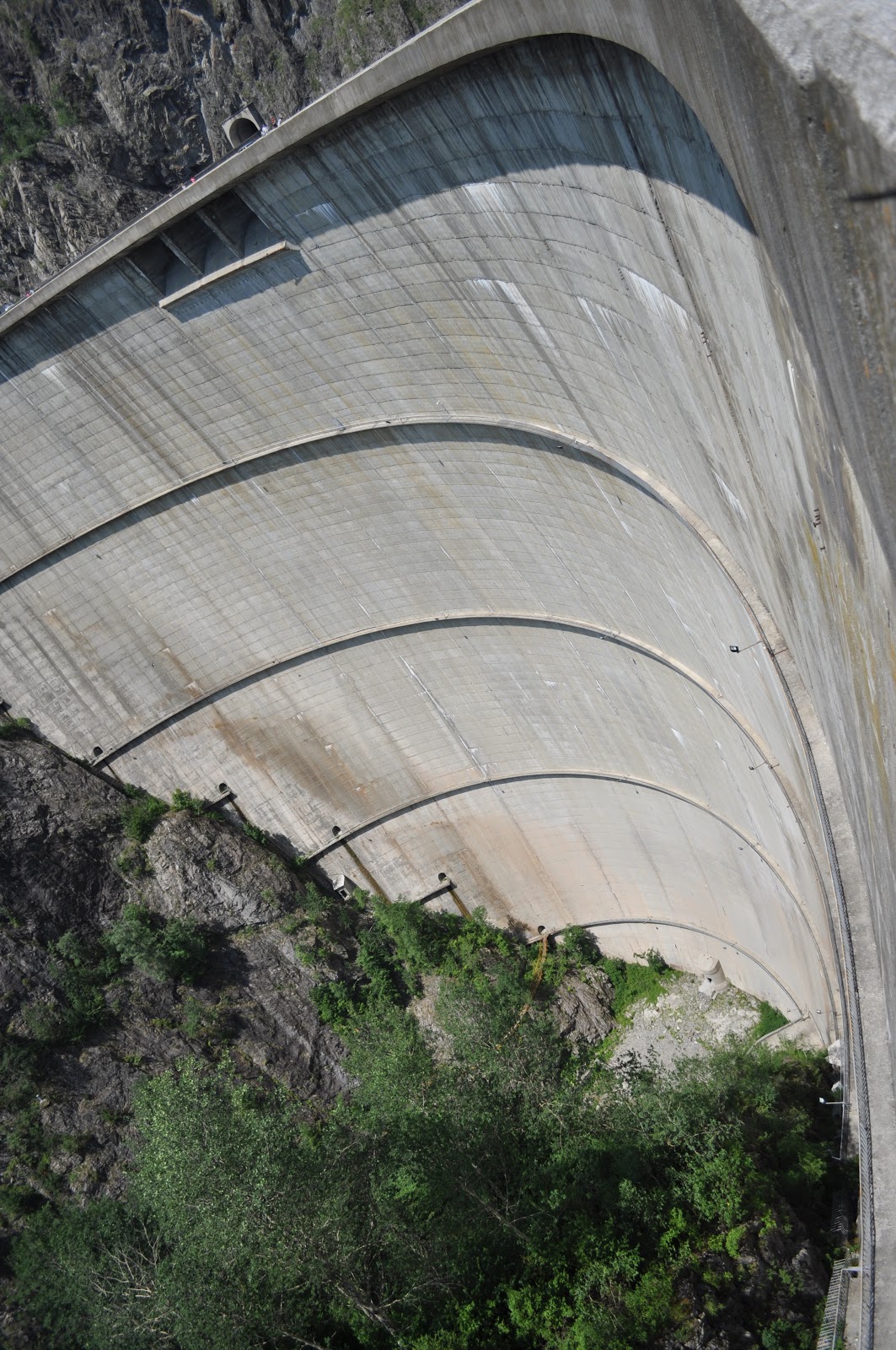 Poze, Natura, Animale, Plante, Romania, Valcea, Ionut Ungureanu