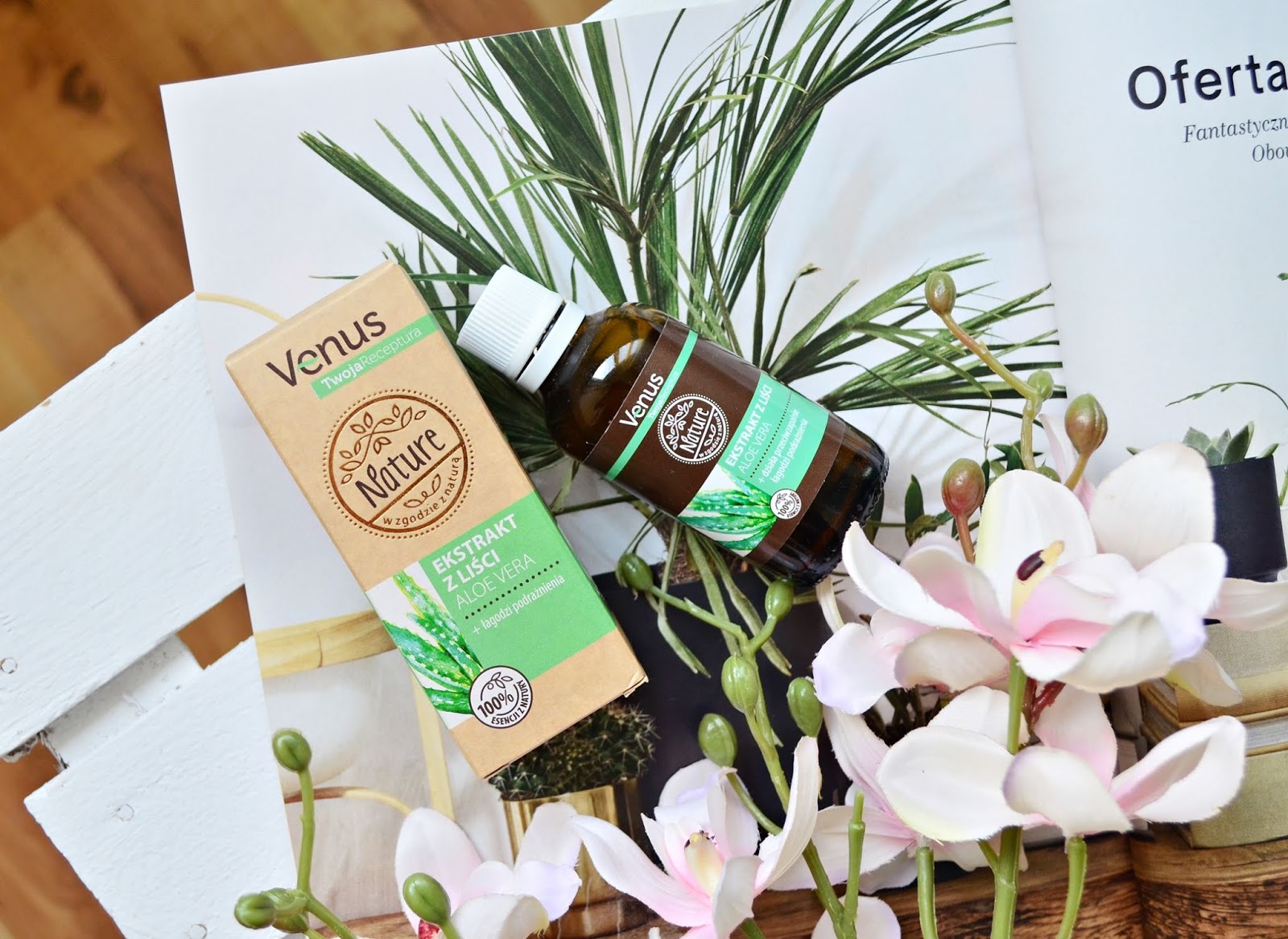 VENUS NATURE | Magia aloesu, czyli działa aloes i jak wykorzystać ...