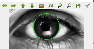 Iris Detection on Faces