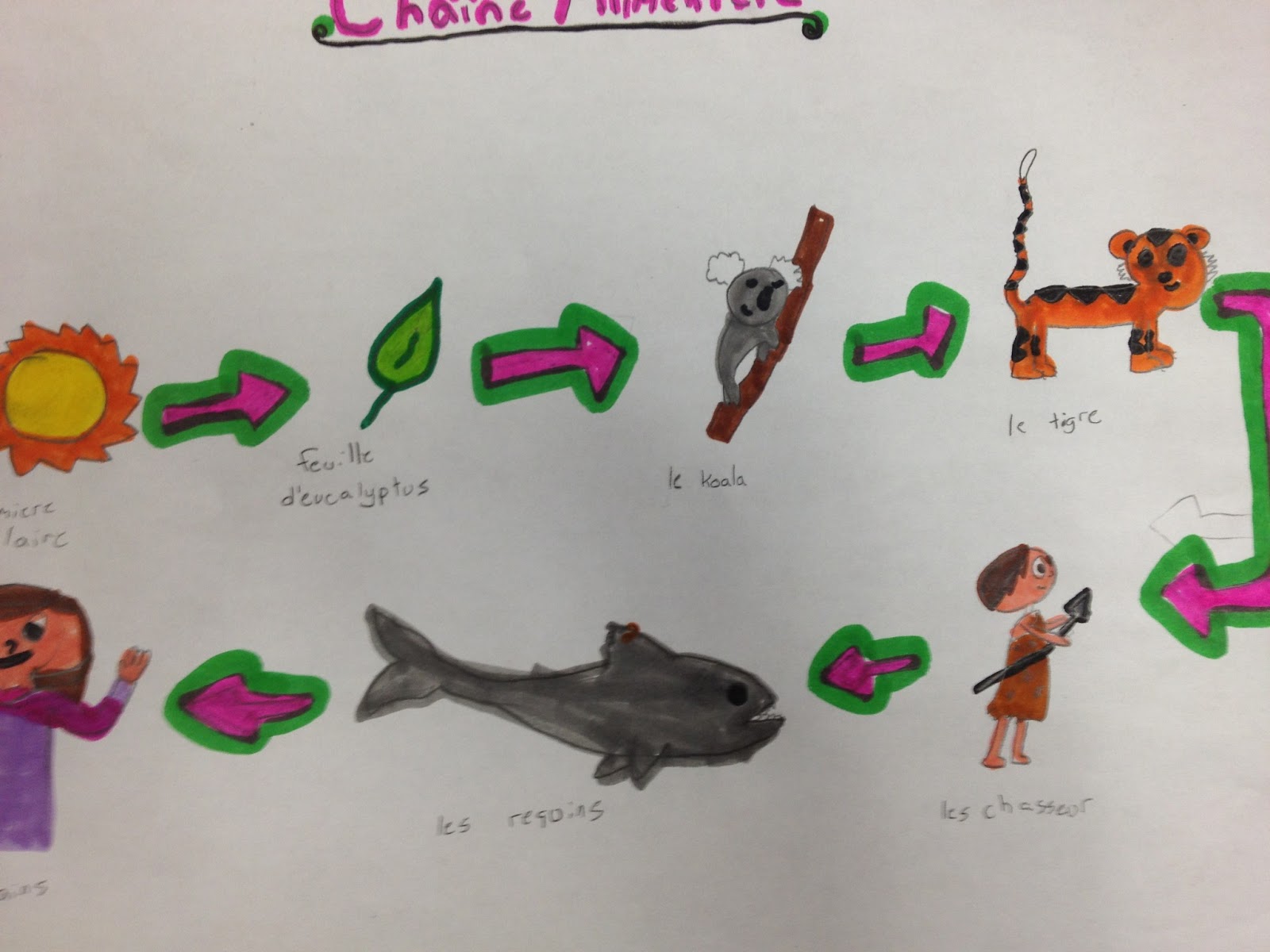 French is Fun: Fun With "les chaînes alimentaires" (food chains)