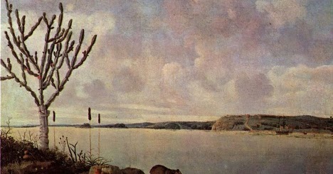 Lição do rio - Apon na arte da vida