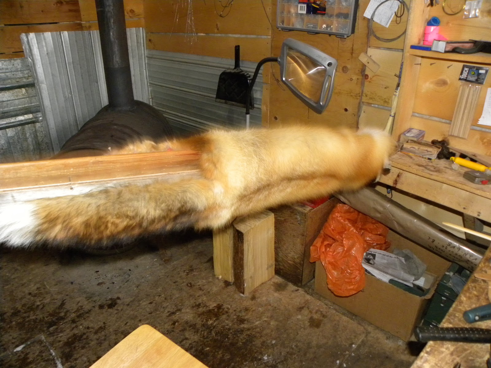 The Happy Trappers 2 Sixth Year: Fox Trapping, and handling Fur