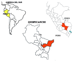 señor de qollo rrity: historia de quispicanchi