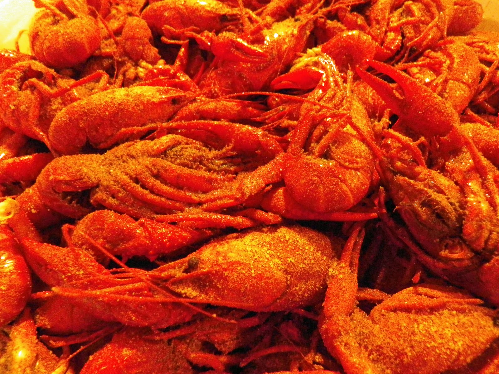 City On A Hill: 2011: The Year In Pictures