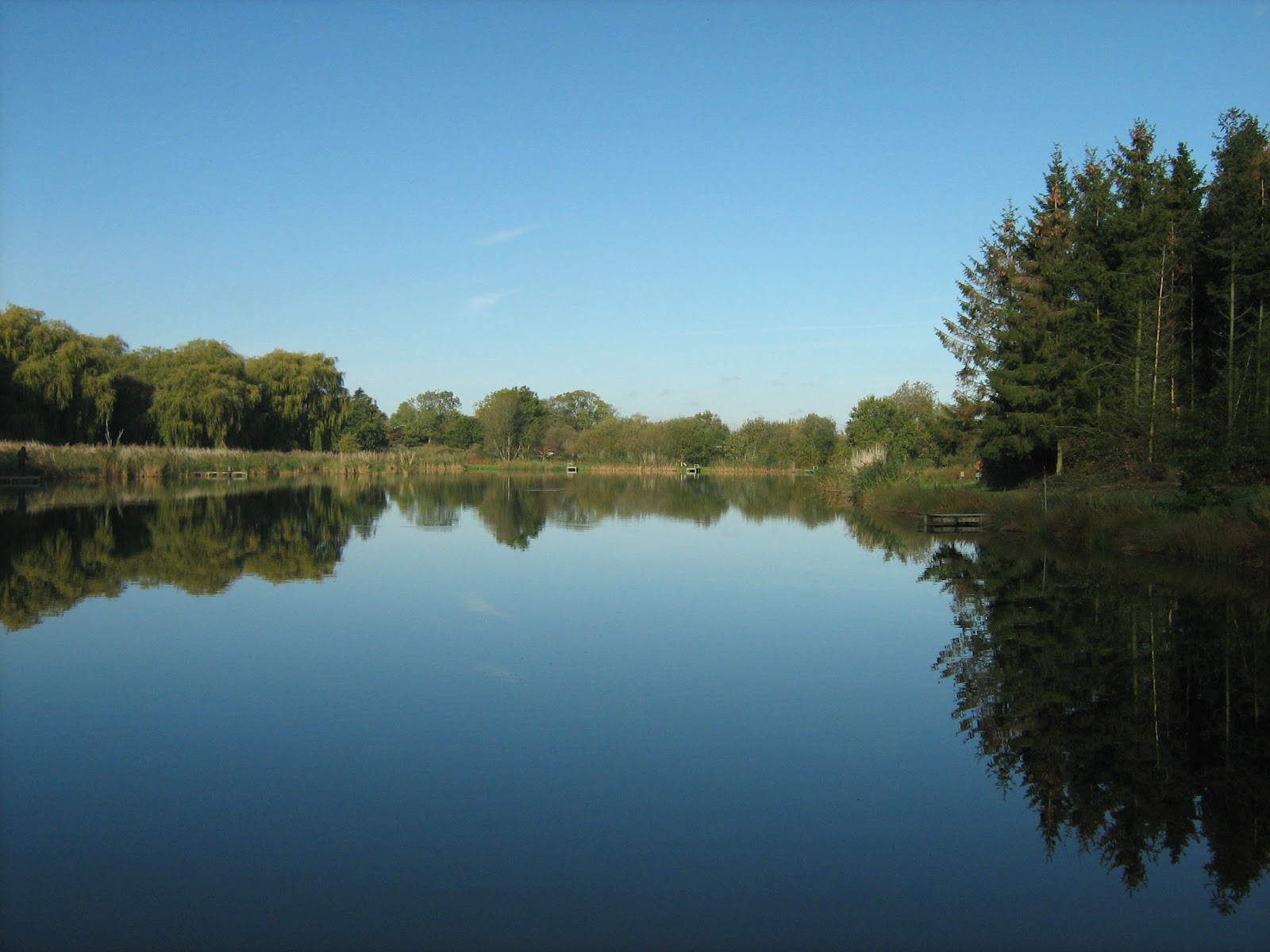 The Fairweather Fisherman: Fly fishing at The Lenches