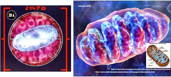 The 'Scope: Midi-chlorians gave Jedi knights their power. Is there ...