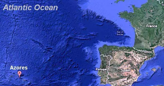 Samudra Atlantik - IKAN DAN LAUT