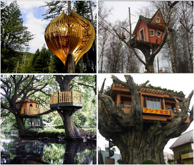 A Dance to the Music of Design: Top tree houses...