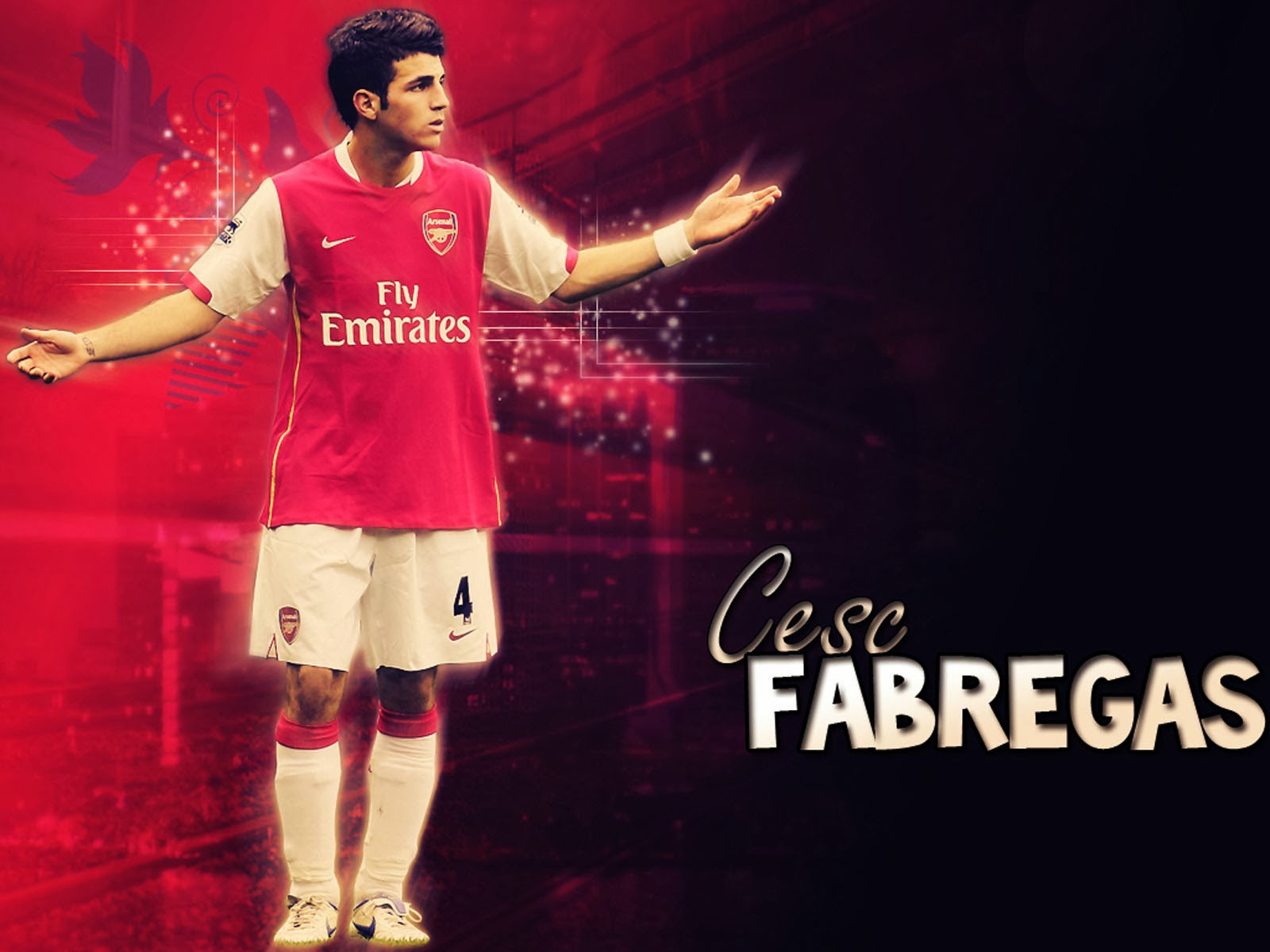 art pictures: Cesc Fabregas Wallpapers