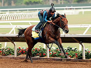 LUNEDÌ 24 AGOSTO 2015 Clamoroso a Ballydoyle! O’Brien e Magnier ai ...