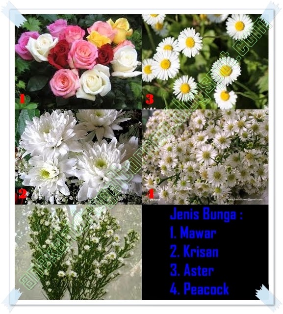 Kreasi Gardena: BUNGA POTONG SEGAR