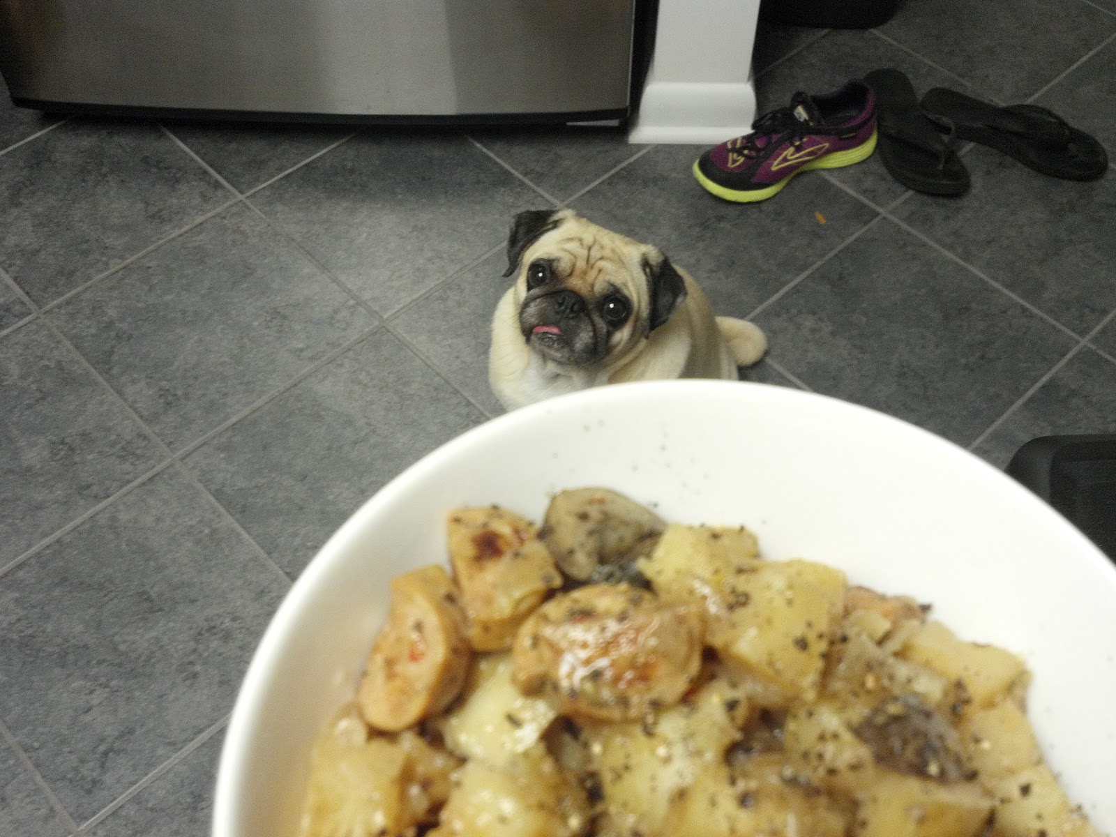 Grubbin' Pugs: Chicken Sausage, Mushroom, and Potato Gratin