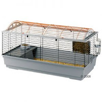 TERRA ANIMALIA: Les rongeurs: Son habitat