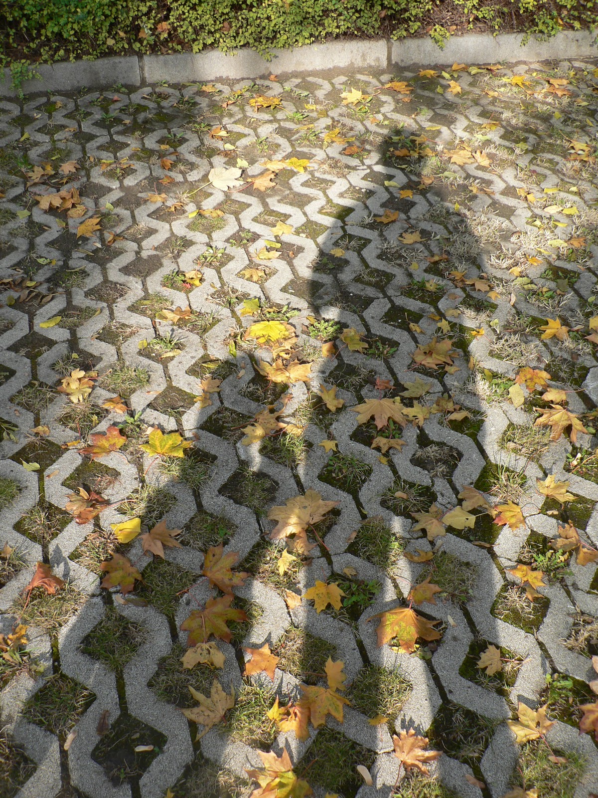 Mama Pea Pod: {Outdoor Play Party: Shadow Play}