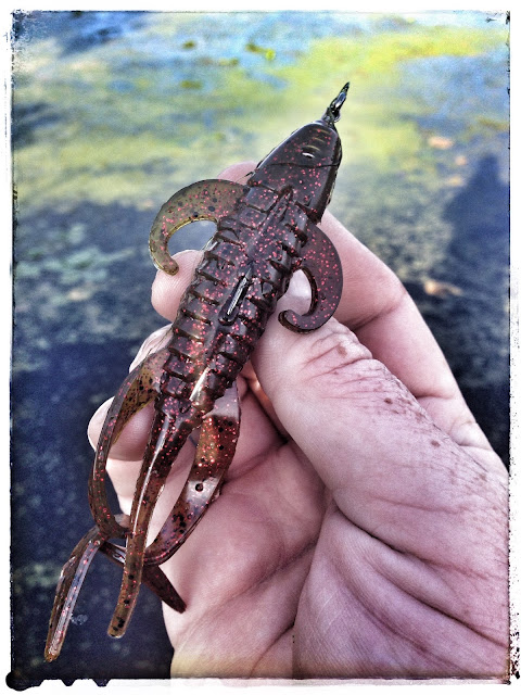 Bass Junkies Frog Pond: Bass Assassin Logger Toad
