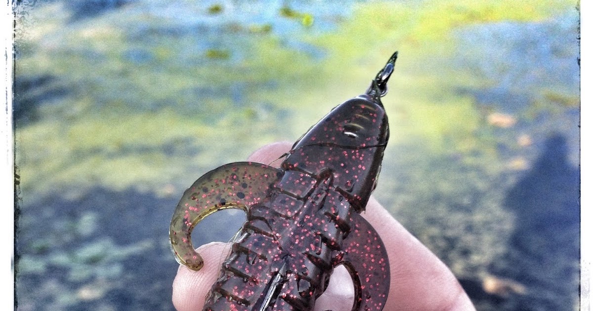 Bass Junkies Frog Pond: Bass Assassin Logger Toad