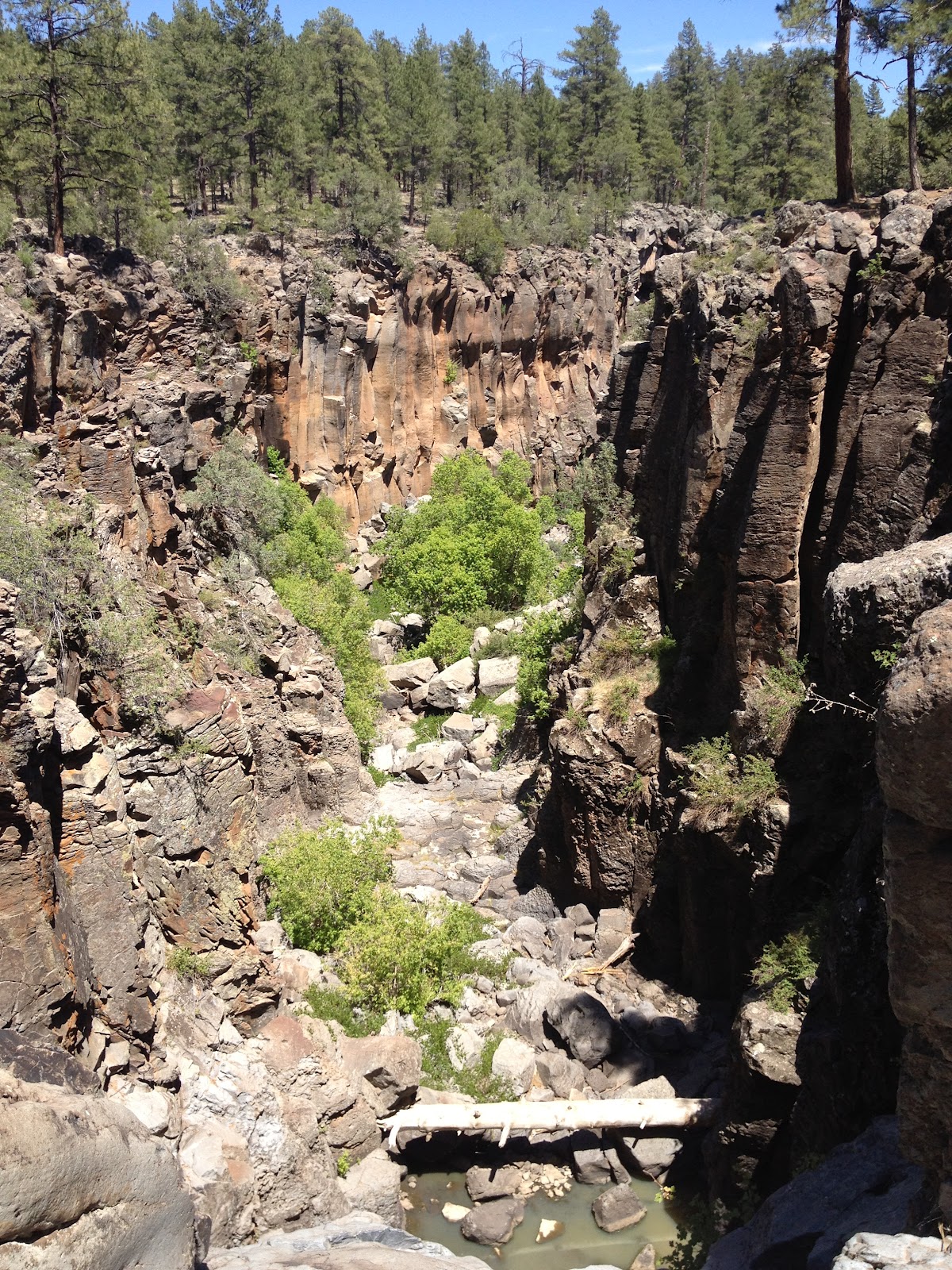 50 Hikes for My 50th!: Hike #37 - Sycamore Rim Trail, Williams, AZ