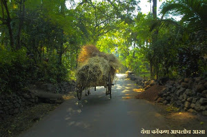Picnic farmar house near in chiplun- Guhagar- Konkan side