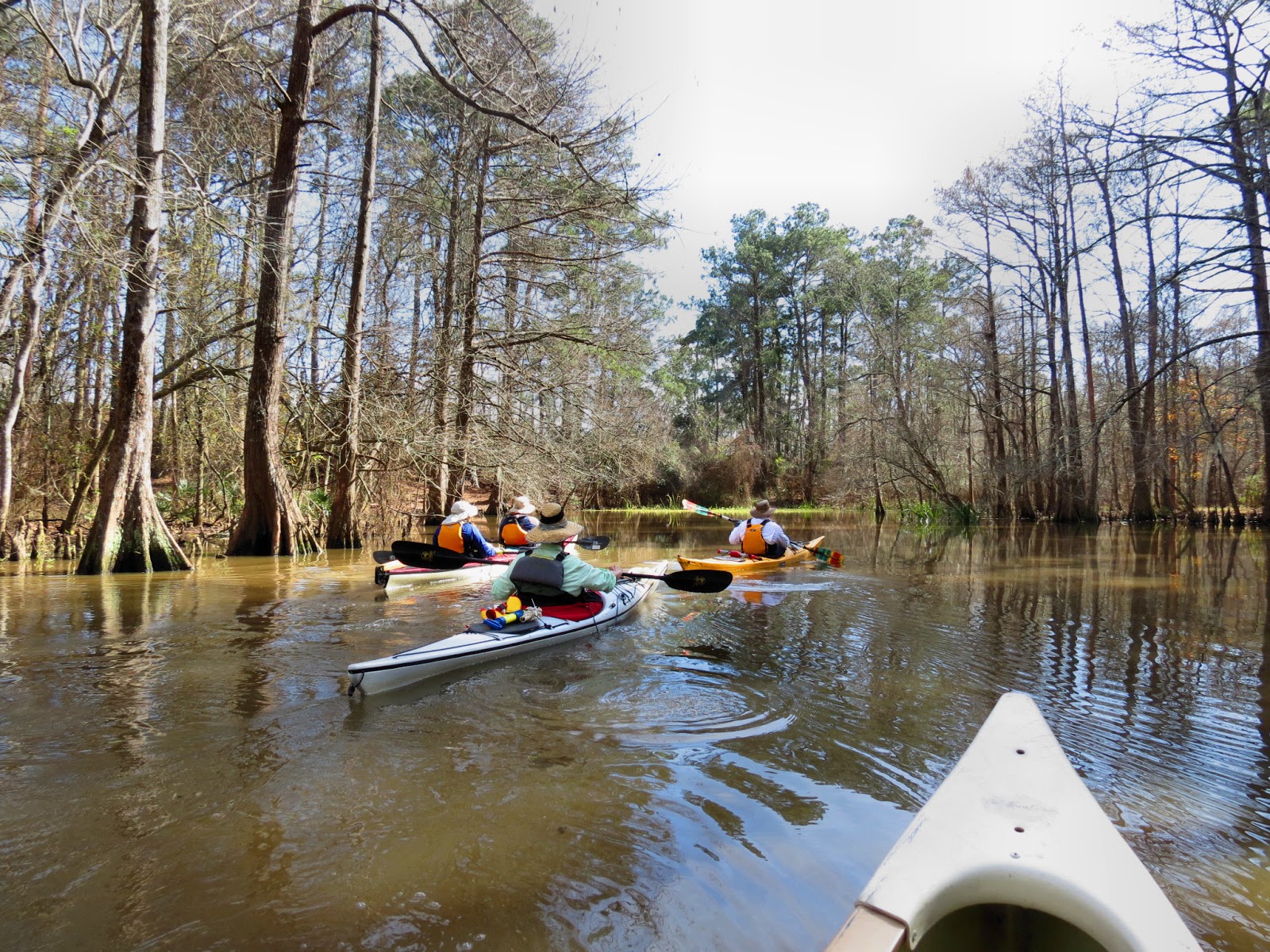 Adventures of a Vagabond Volunteer: Terrific Day on Turtle and White's ...