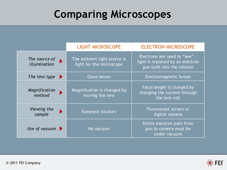 EXAMS AND ME : Microscopy