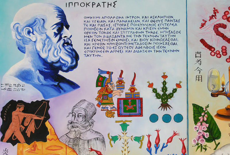 MAP: PATHOLOGY MURAL