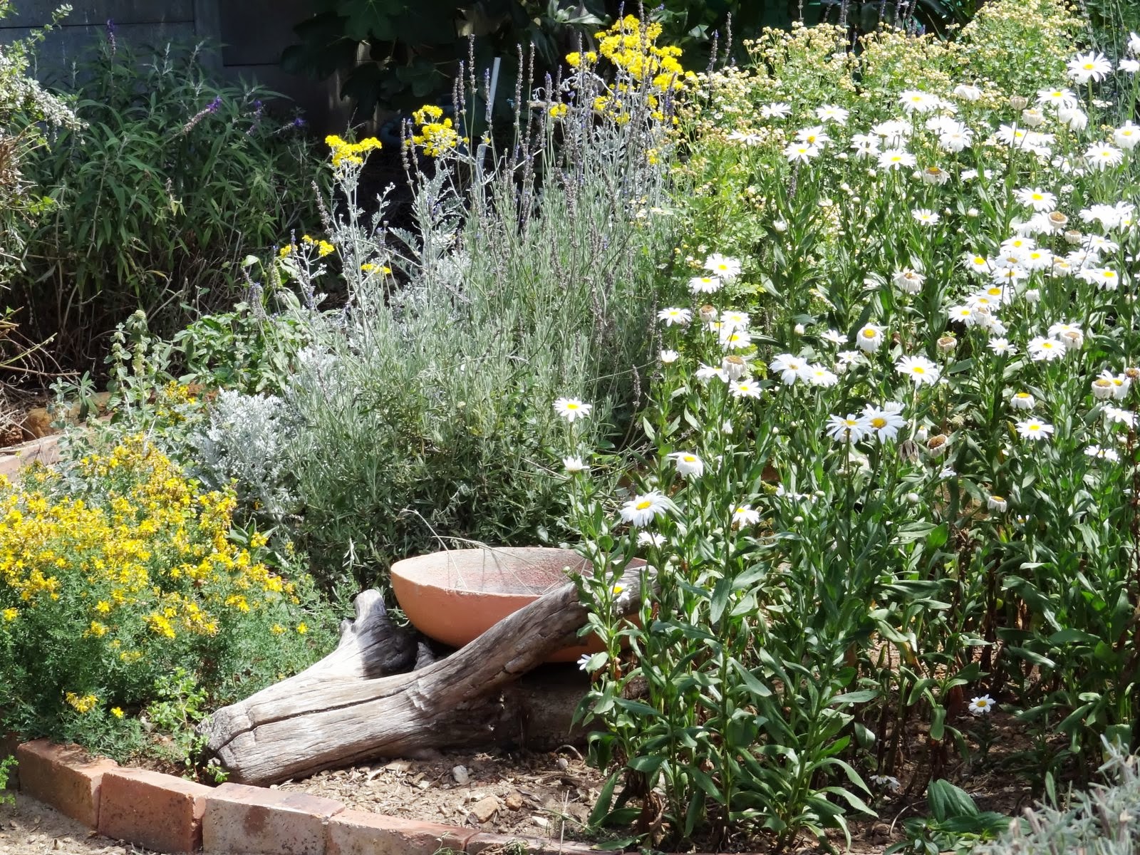 HerbRealm: Insect world- making your garden insect friendly