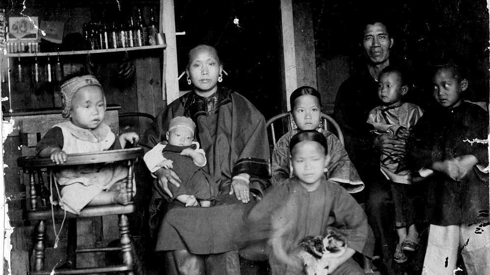 Chinese immigration to Hawaii