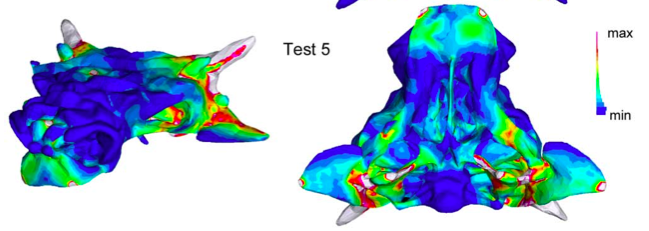Mesozoic Musings at Jurassic Forest: September 2012