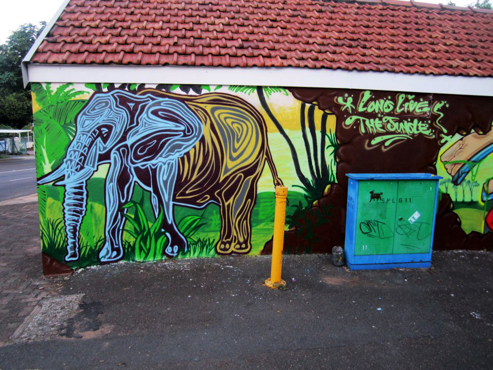 CANVAS CITY: MOOK LION ~ @PeterJohn