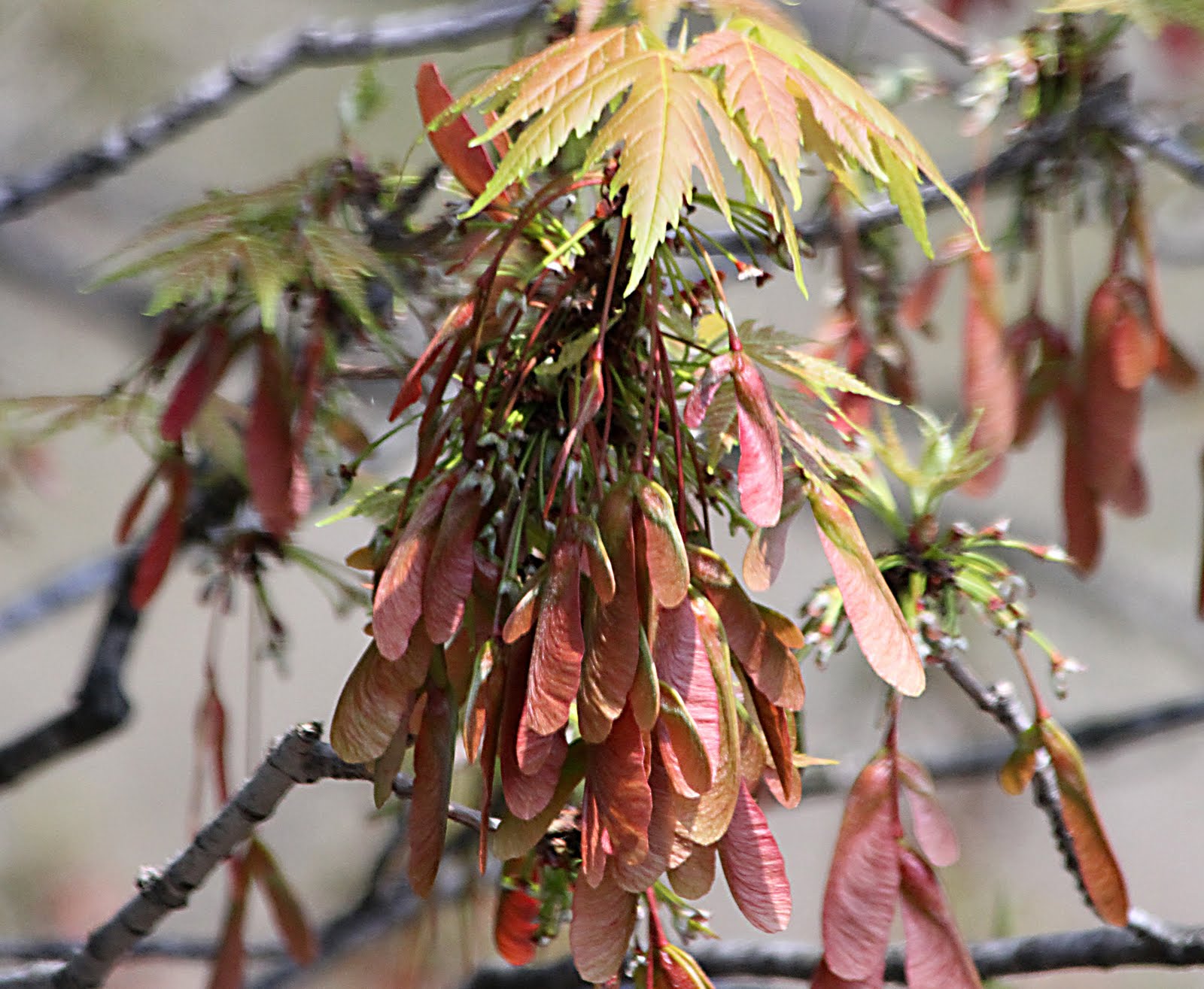 Seeing Things: A Force Against Nature