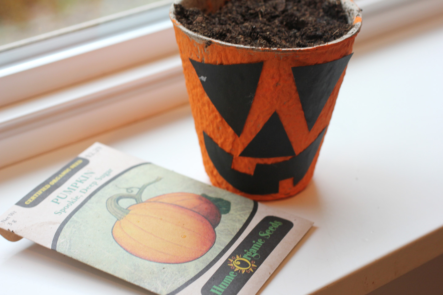 Pumpkin Starter Seed Cups - Repeat Crafter Me
