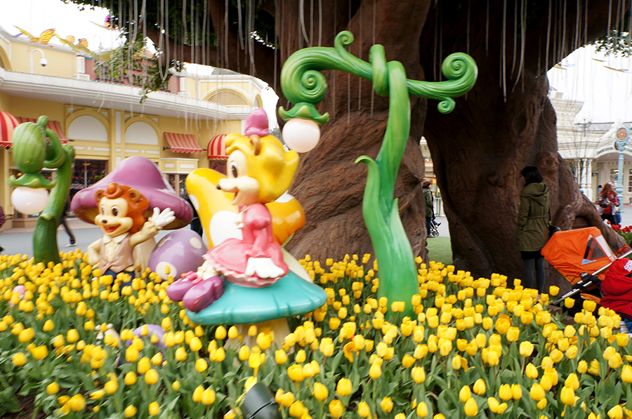 everland part 1: tulip festival. - Theheyheyhey