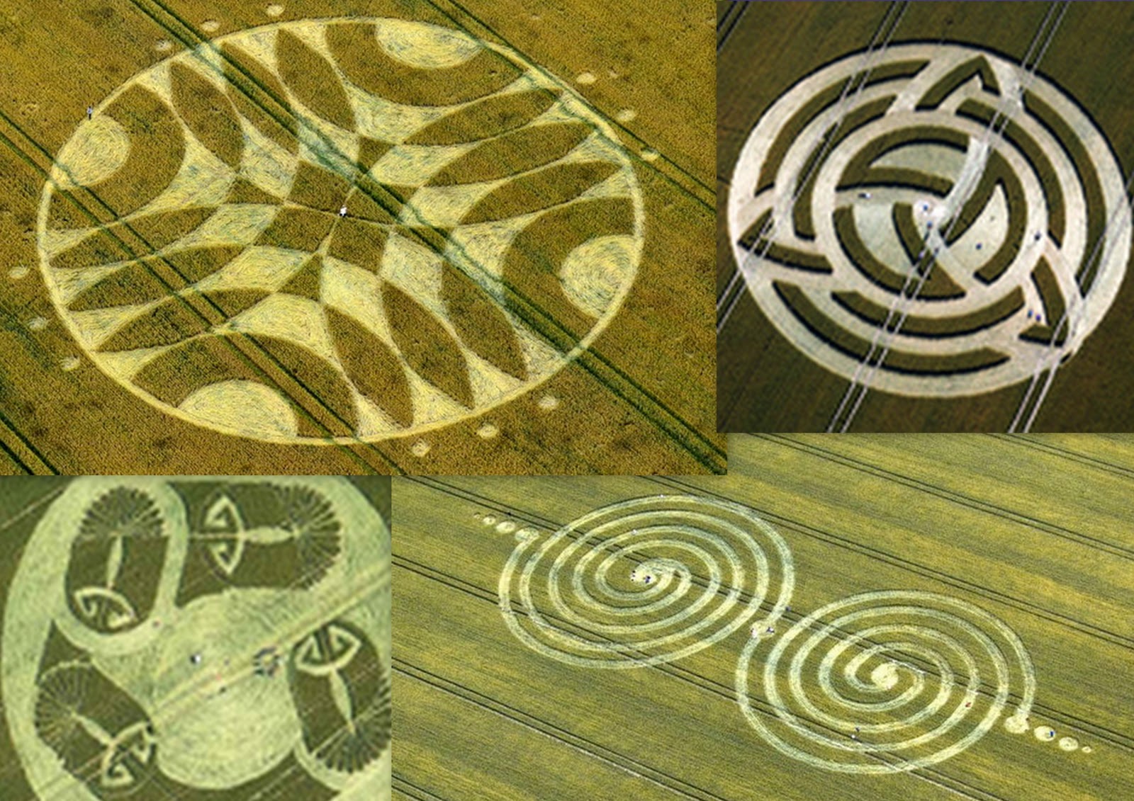 el rinoceronte de cristal: AGROGRAMAS - Crop circles