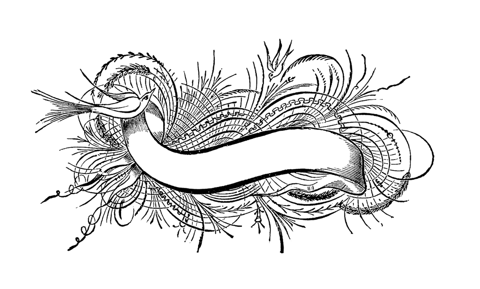 Digital Stamp Design: Free Label Digital Stamp: Antique Calligraphy ...