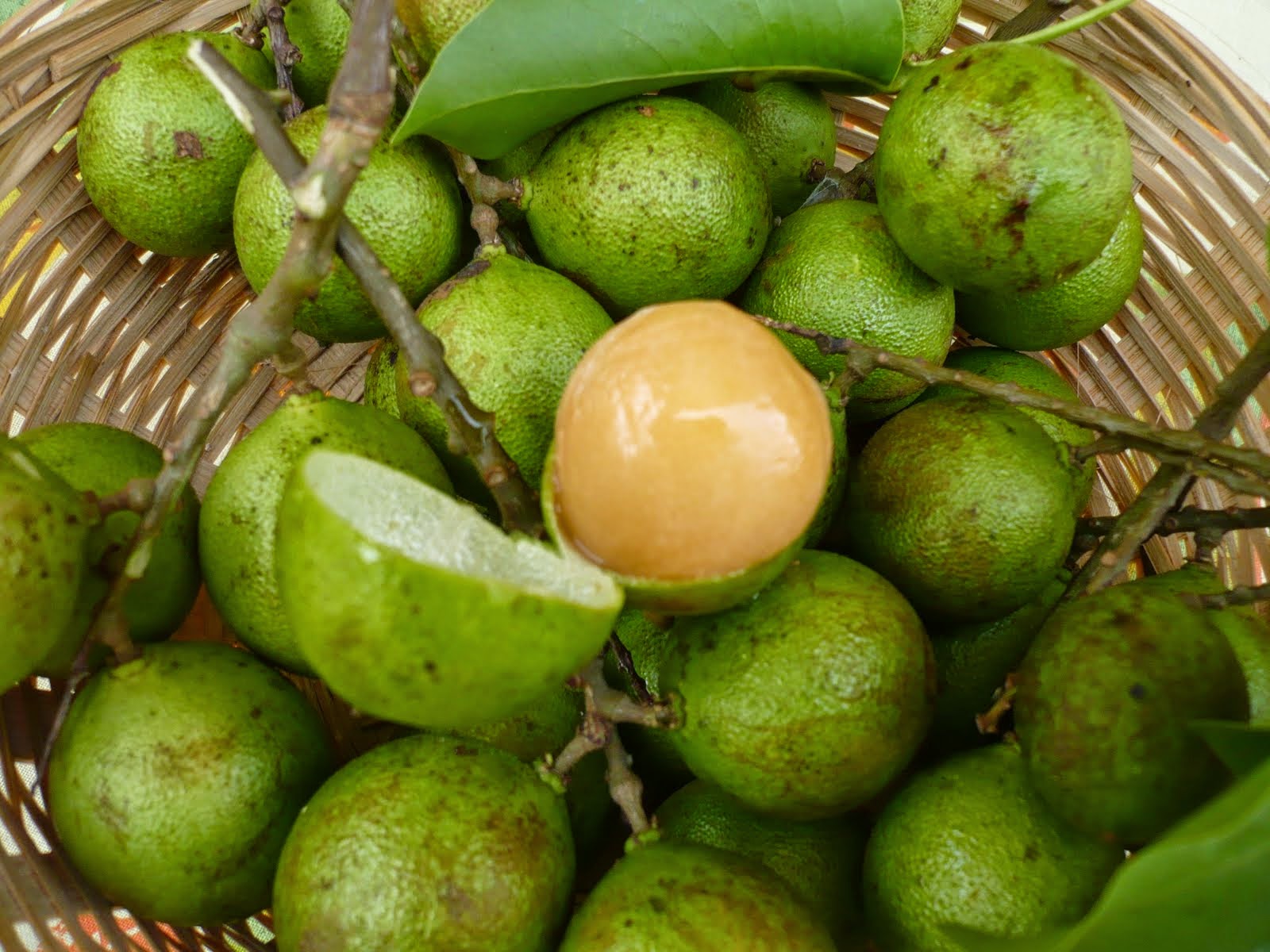 Repubblica Dominicana: "EL LIMONCILLO" ... MUCHA VITAMINA!