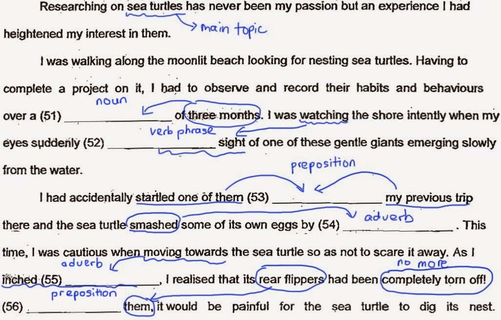 Cloze Passage: Use The SAP Method To Score Higher Marks / Aim for the ...