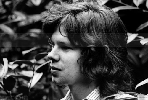 22 PASSI D'AMORE e dintorni: Ricordo di Nick Drake