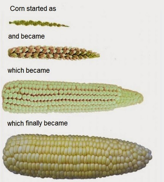 S.E.T. School: April 2014