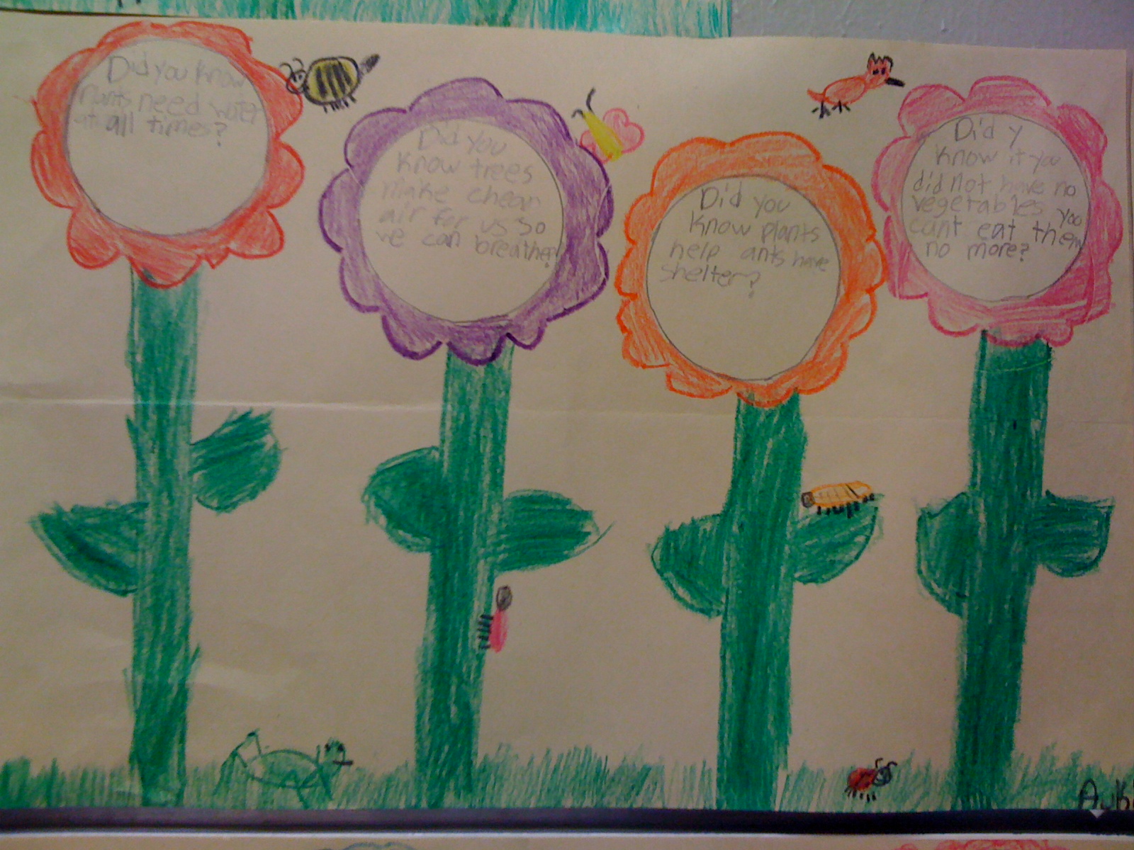 Bishop's Blackboard: An Elementary Education Blog: Garden Research ...