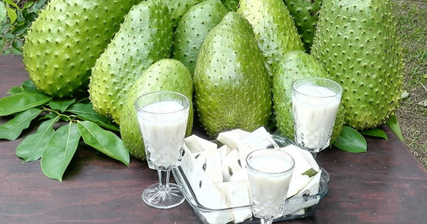 Remedios Caseros y Medicina Natural : 6 Beneficios de Consumir Jugo de Guanábana