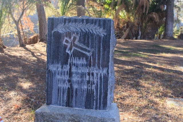 Here and There: Catalina 3- Catalina bones