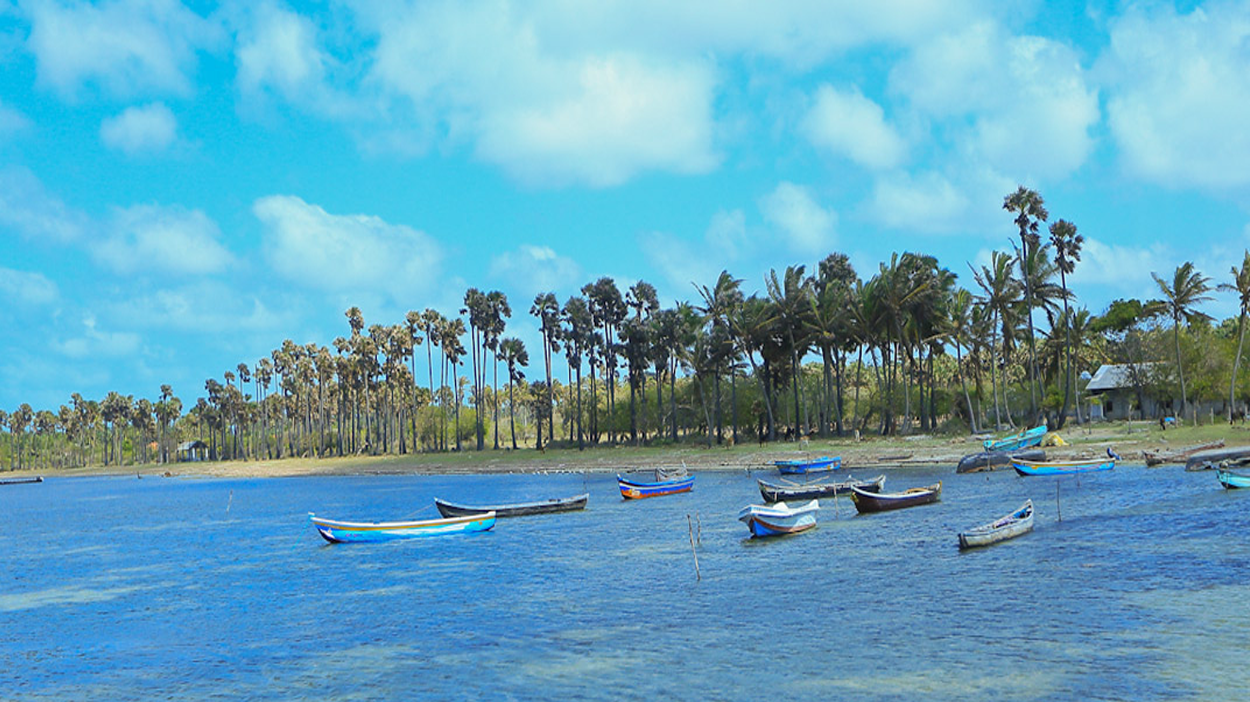 Swarnajothi national school