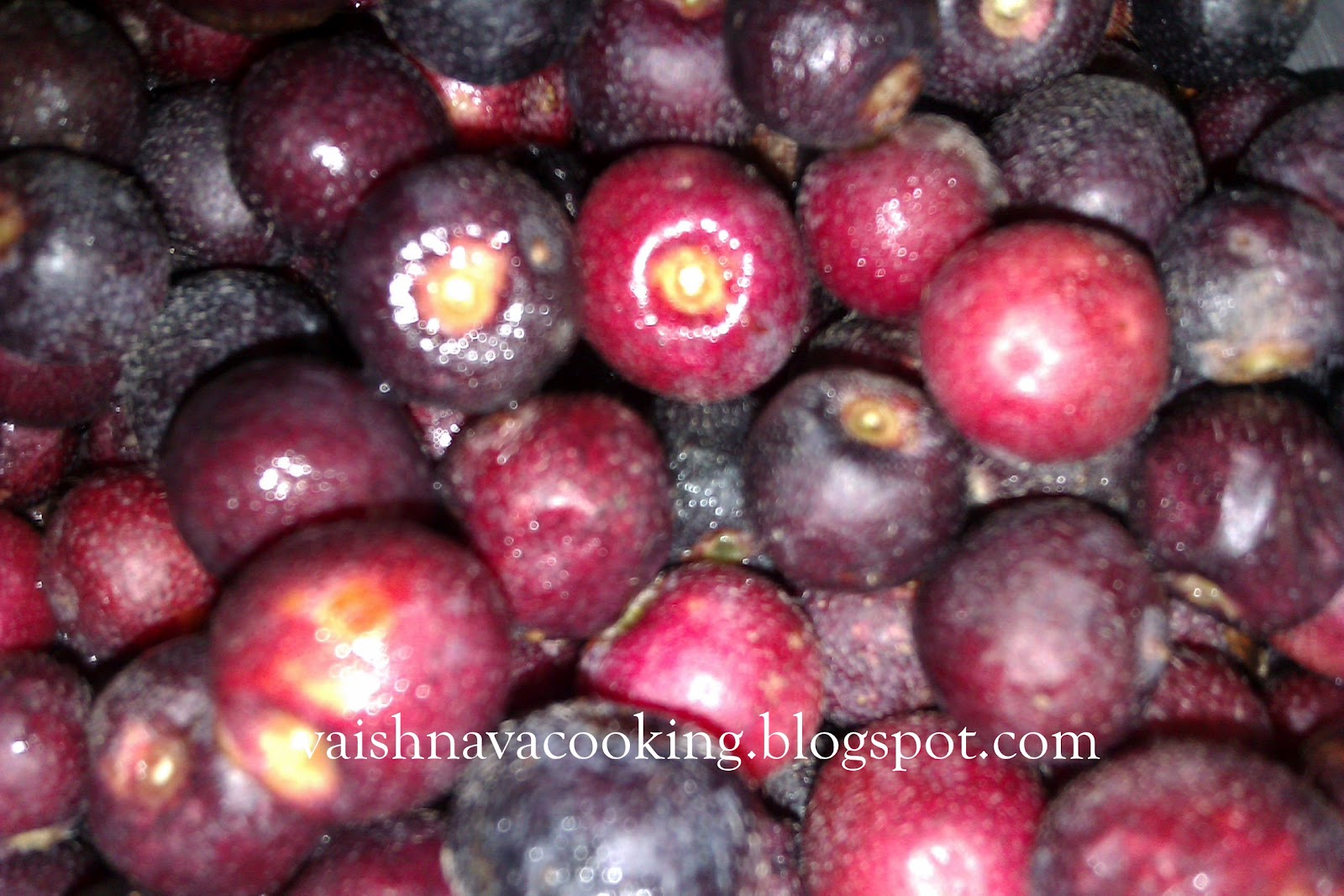 MY SATVIK KITCHEN: FALSEY KA SHARBAT