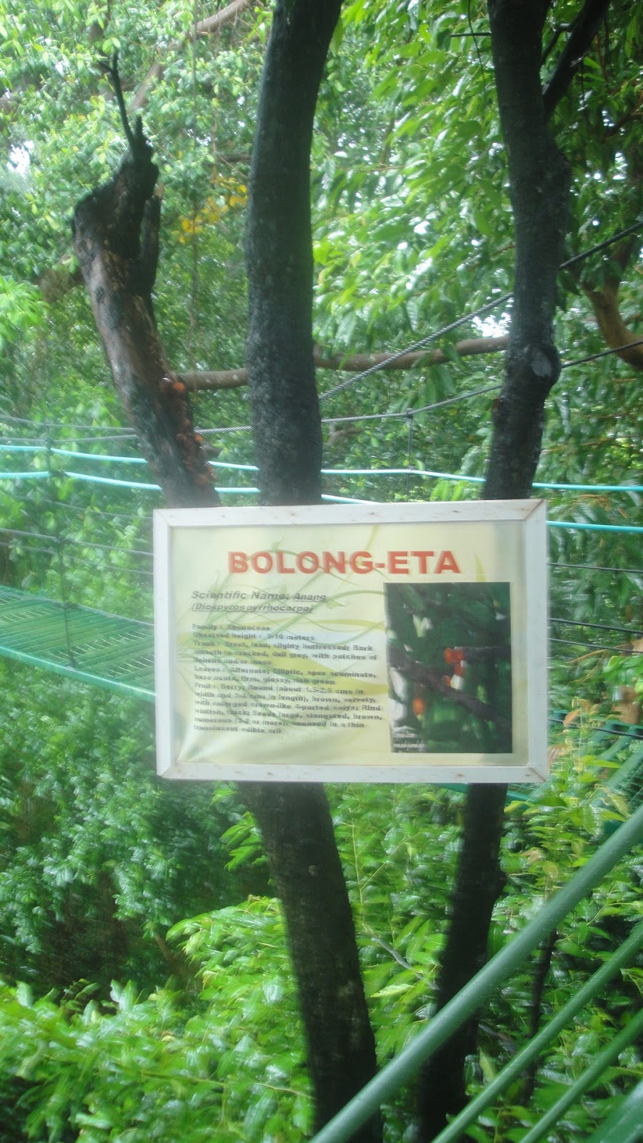 What to know about Subic Freeport Zone