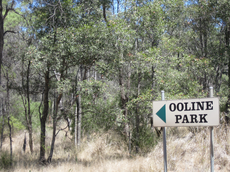 Robin's Double Life: Ooline Park; Markets; Red Gum Concert; A box of ...